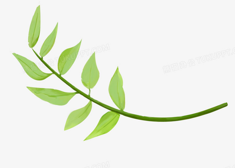 元素叶子小清新手绘树叶植物枫叶简约装饰绿色水彩绿叶绿草PNG图片素材下载 树叶PNG 熊猫办公
