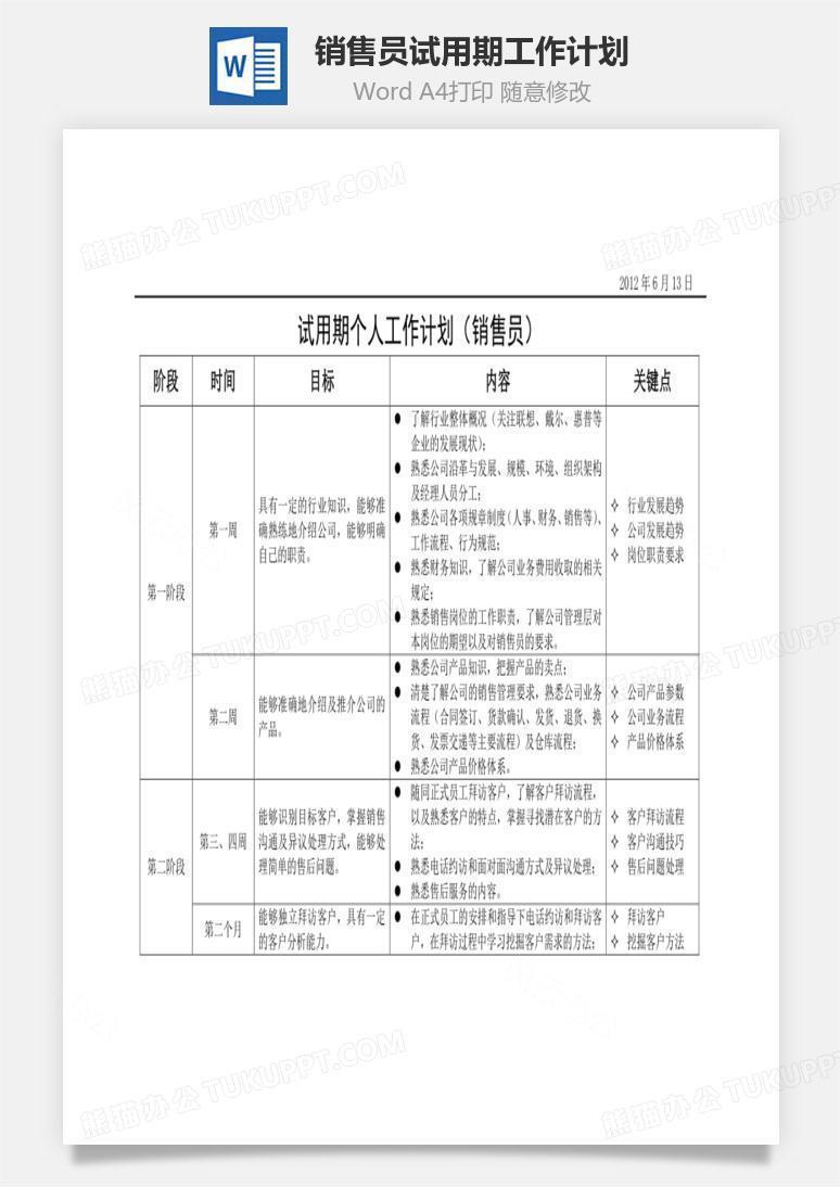 销售员试用期工作计划文档Word模板下载 编号yqrbrjgq 熊猫办公
