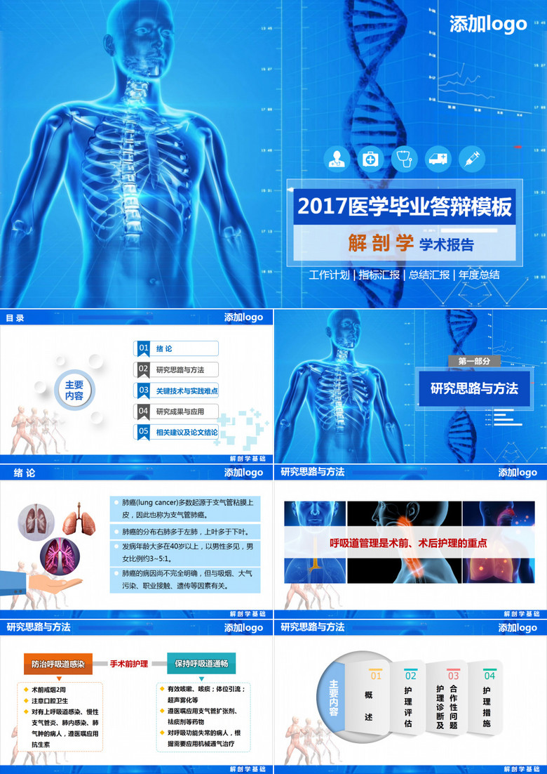 医学解剖学毕业答辩PPT模板下载 熊猫办公