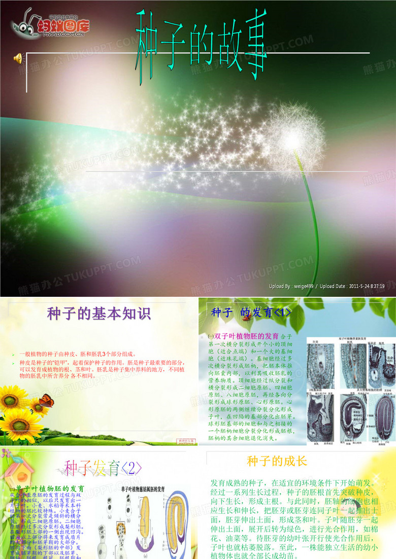 关于种子的故事PPT模板下载 编号ljjnepgl 熊猫办公