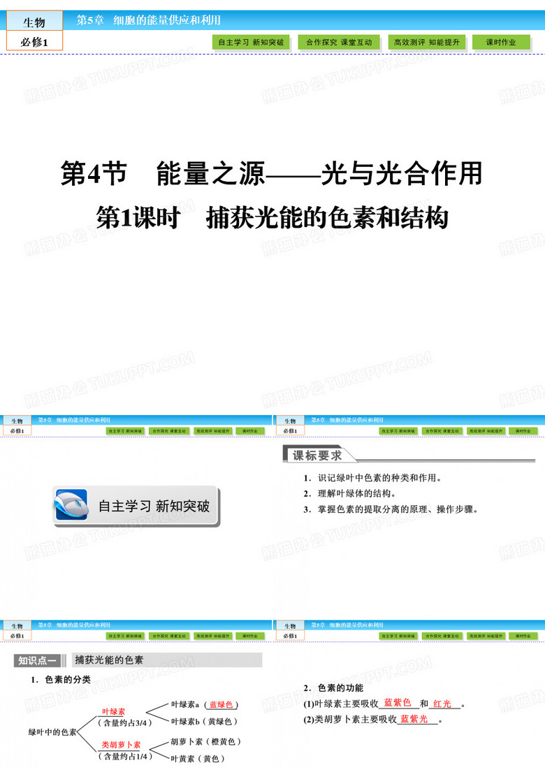人教版 高中生物必修一5 4捕获光能的色素和结构课件PPT模板下载 编号lbrwkkgl 熊猫办公