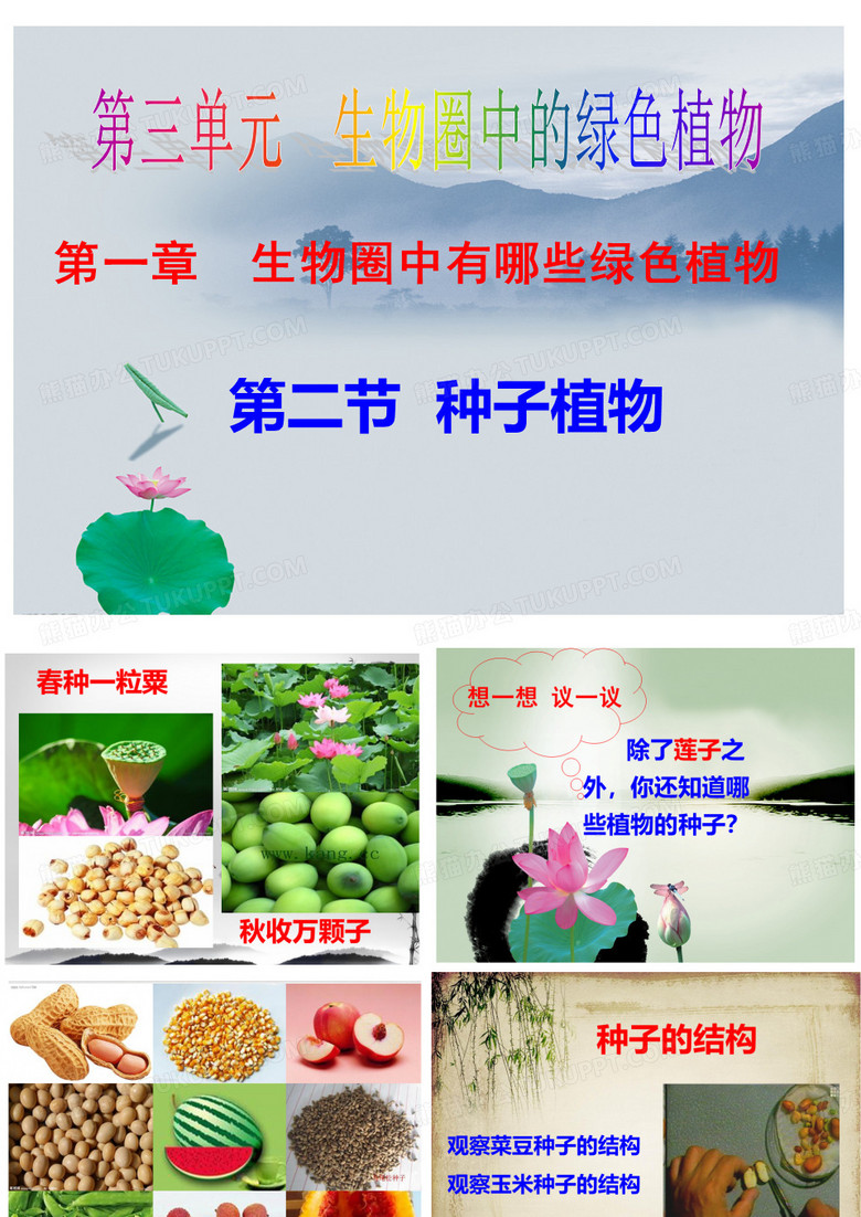 种子植物PPT模板下载 编号lgdrbgyq 熊猫办公