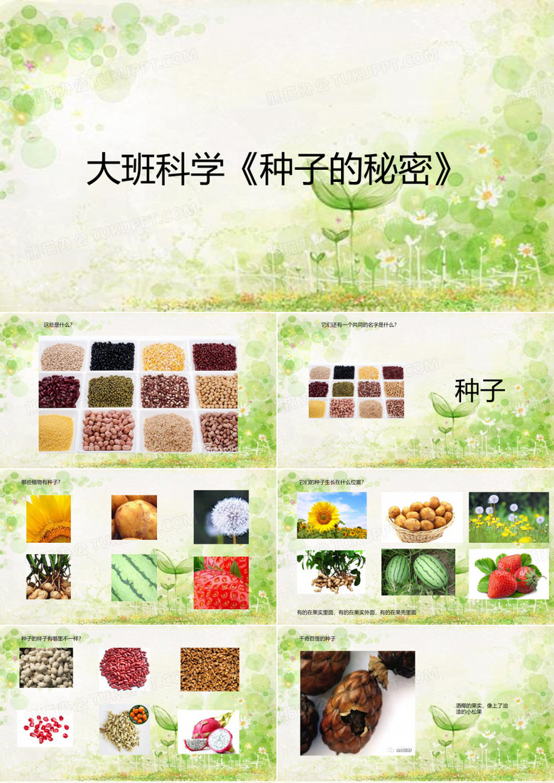 大班科学种子的秘密PPT模板下载 编号laakgkal 熊猫办公