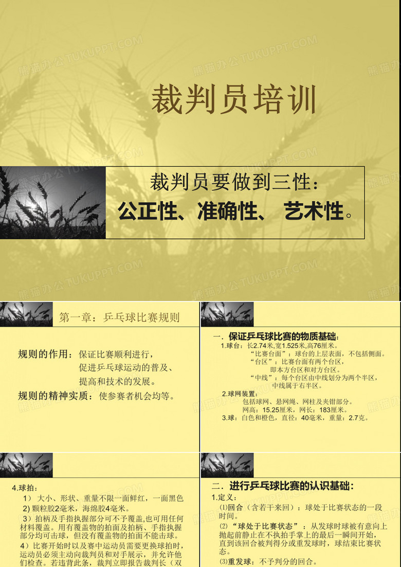 乒乓球比赛规则PPT模板下载 编号qaakgwaq 熊猫办公