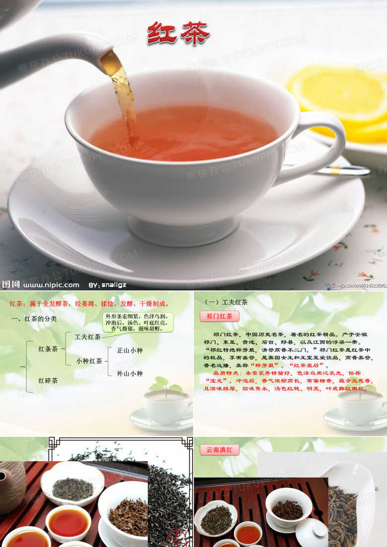 红茶的分类PPT模板下载 编号laazkozl 熊猫办公