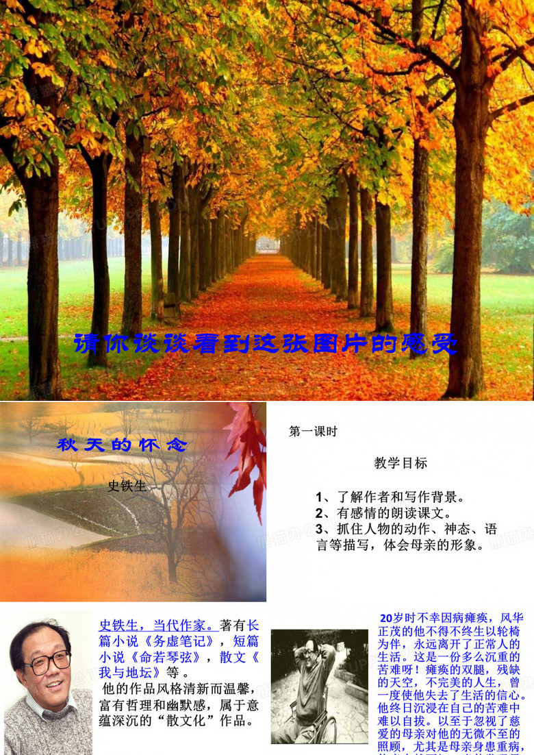 秋天的怀念PPT模板下载 编号lrbnrgbl 熊猫办公