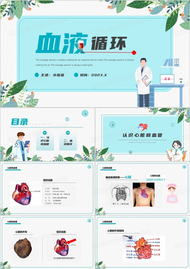 绿色清新风血液循环培训课件PPT模板下载 熊猫办公