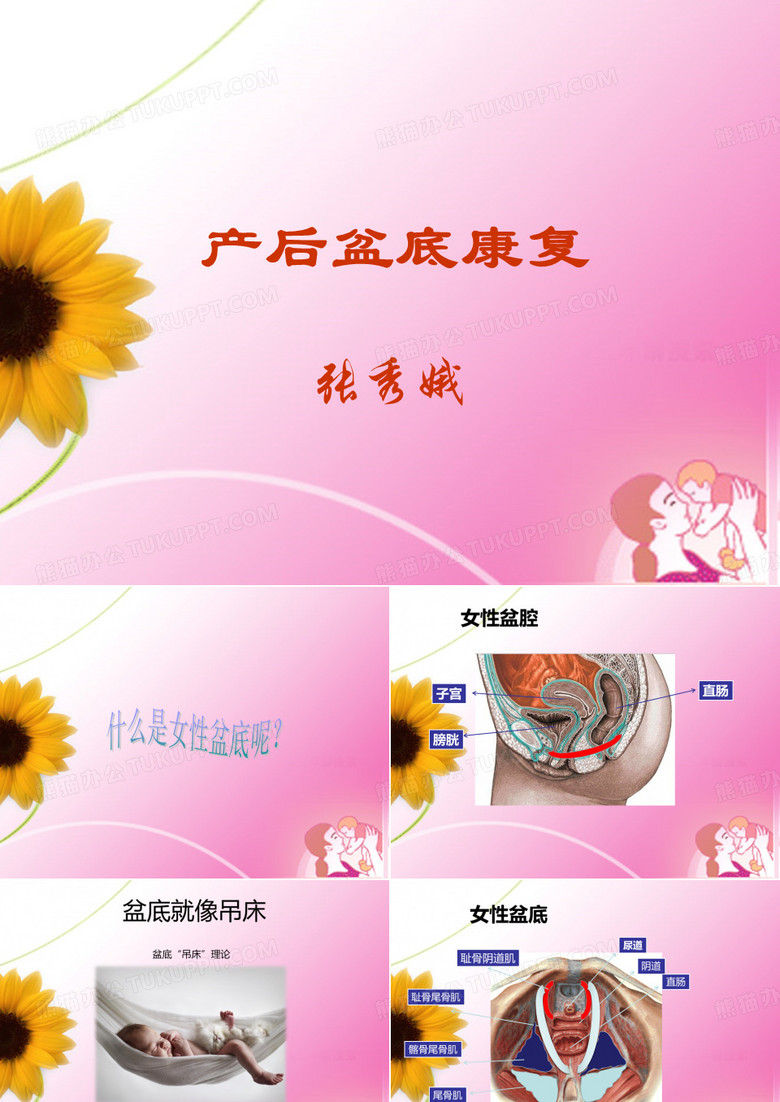 产后盆底康复PPT模板下载 编号qxbbzwoq 熊猫办公
