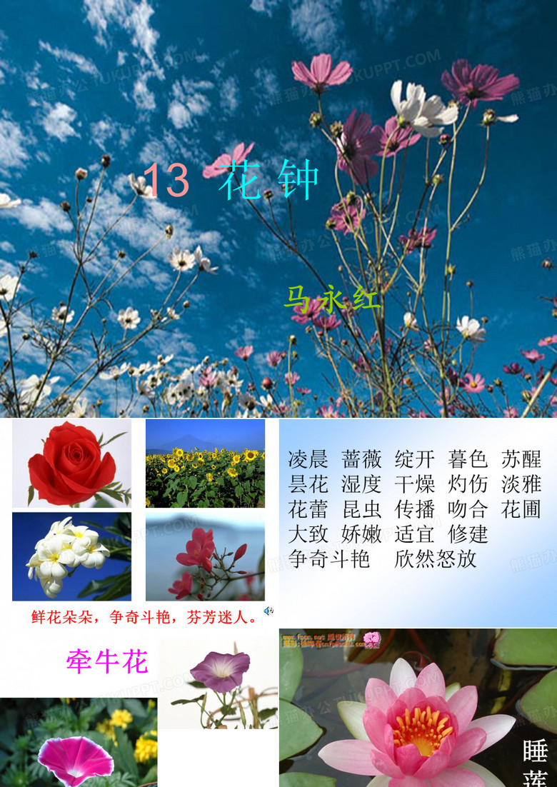 花钟 马永红PPT模板下载 编号qgbprjml 熊猫办公