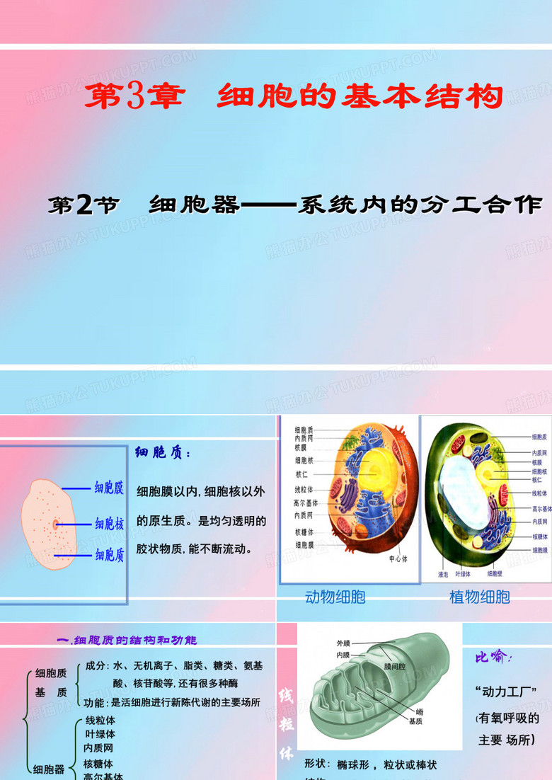 细胞器细胞内的分工合作 课件PPT模板下载 编号loprmomo 熊猫办公