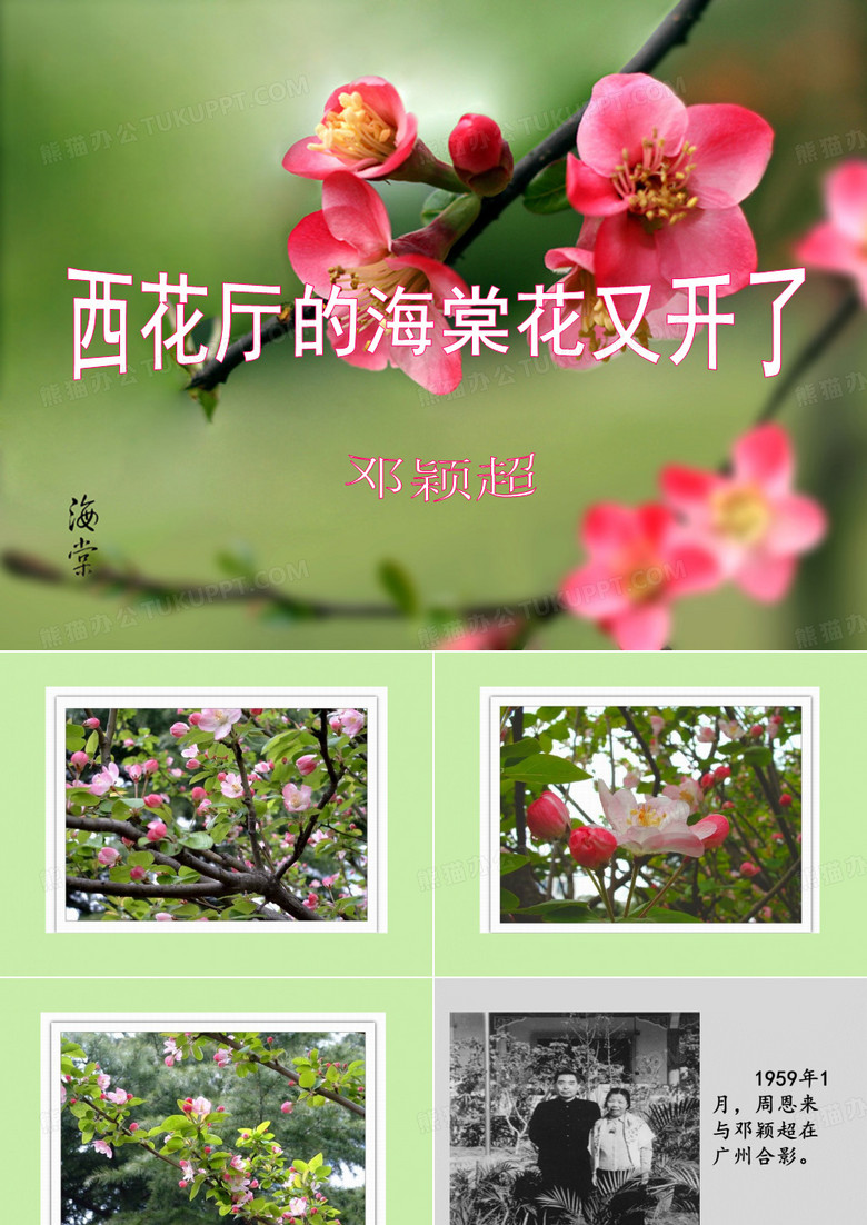 西花厅的海棠花又开了课件PPT模板下载 编号lopzndmd 熊猫办公