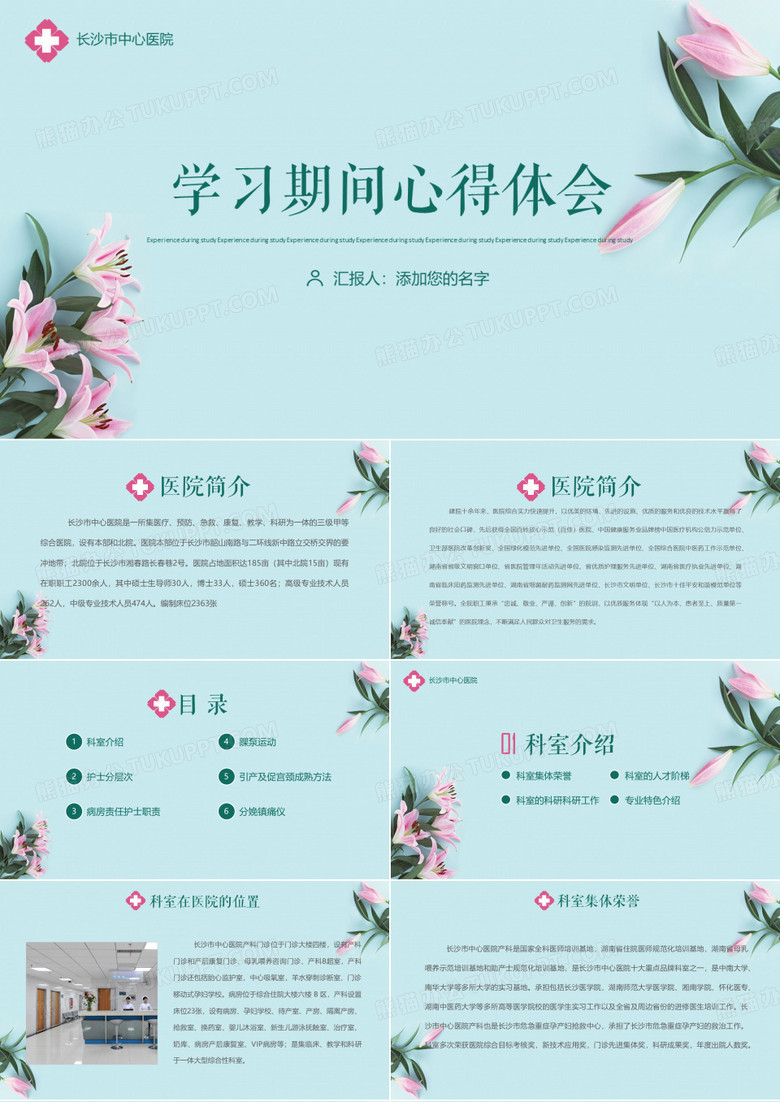 护士进修总结汇报PPT模板下载 编号lbwnkrjr 熊猫办公
