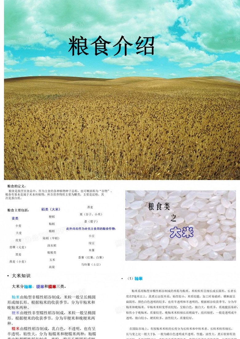 大米介绍PPT模板下载 编号lnraajzz 熊猫办公