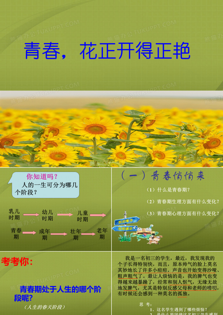 主题班会 青春期主题班会PPT模板下载 编号lyzmmojv 熊猫办公