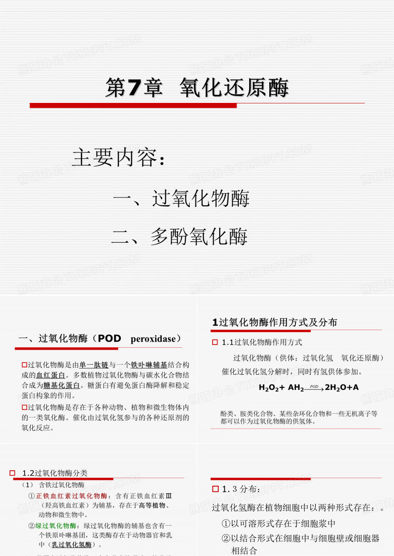 氧化还原酶 过氧化物酶过氧化物酶 汇总PPT模板下载 编号lrmvvdax 熊猫办公