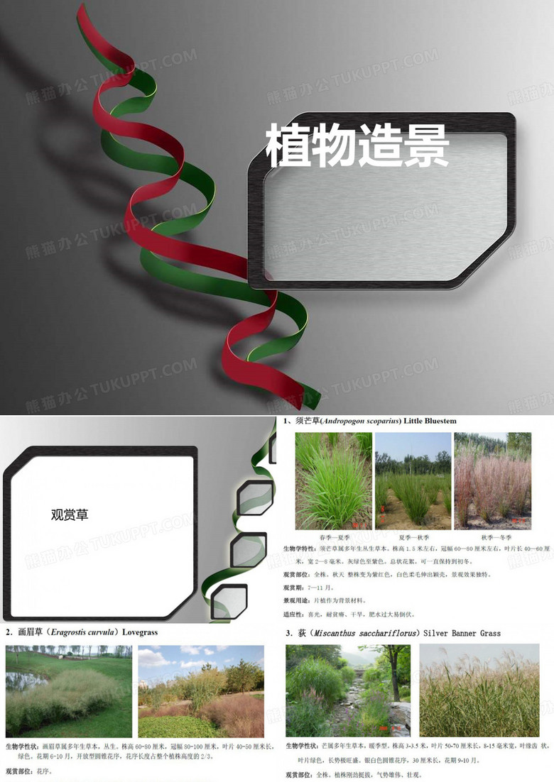 植物特性介绍PPT模板下载 编号qyzbjerp 熊猫办公