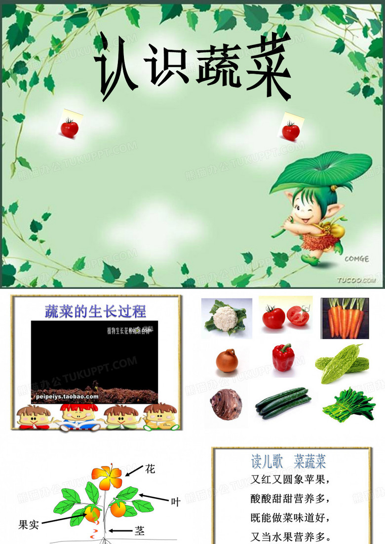 认识蔬菜PPT模板下载 编号qyzbpbbm 熊猫办公