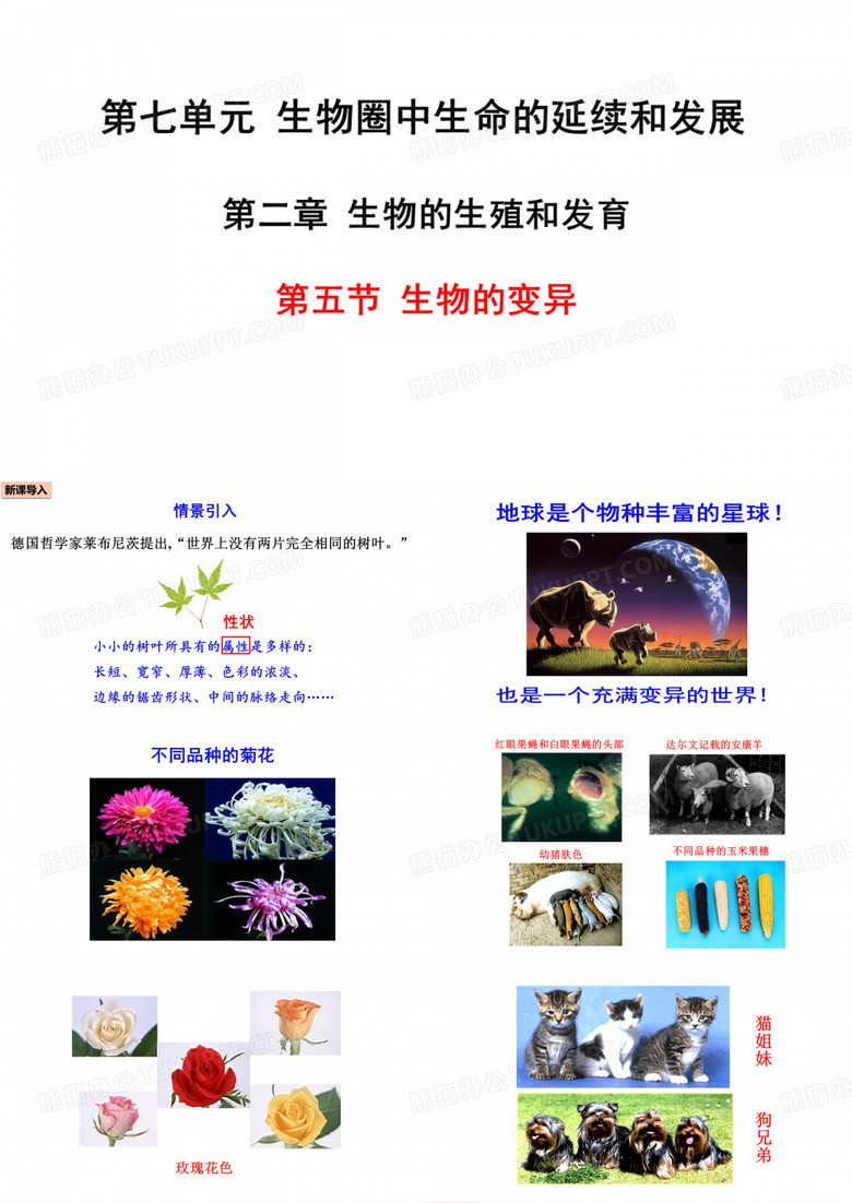 人教版生物八年级下册第二章生物的遗传与变异第五节生物的变异PPT模板下载 编号qexxzyre 熊猫办公