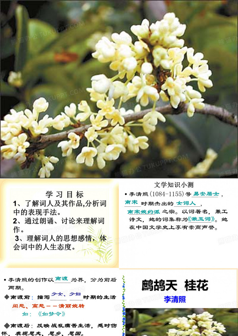 鹧鸪天桂花PPT模板下载 编号lbxxogpm 熊猫办公