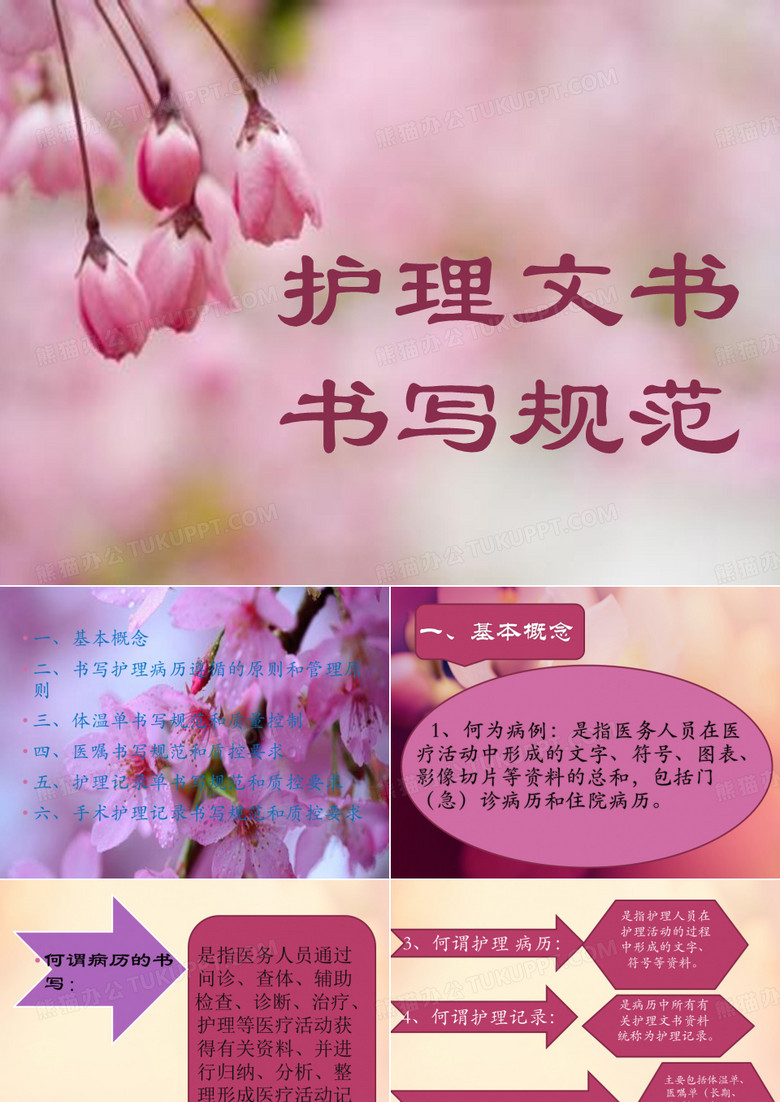 护理文书书写规范PPT模板下载 编号lnrgzzge 熊猫办公