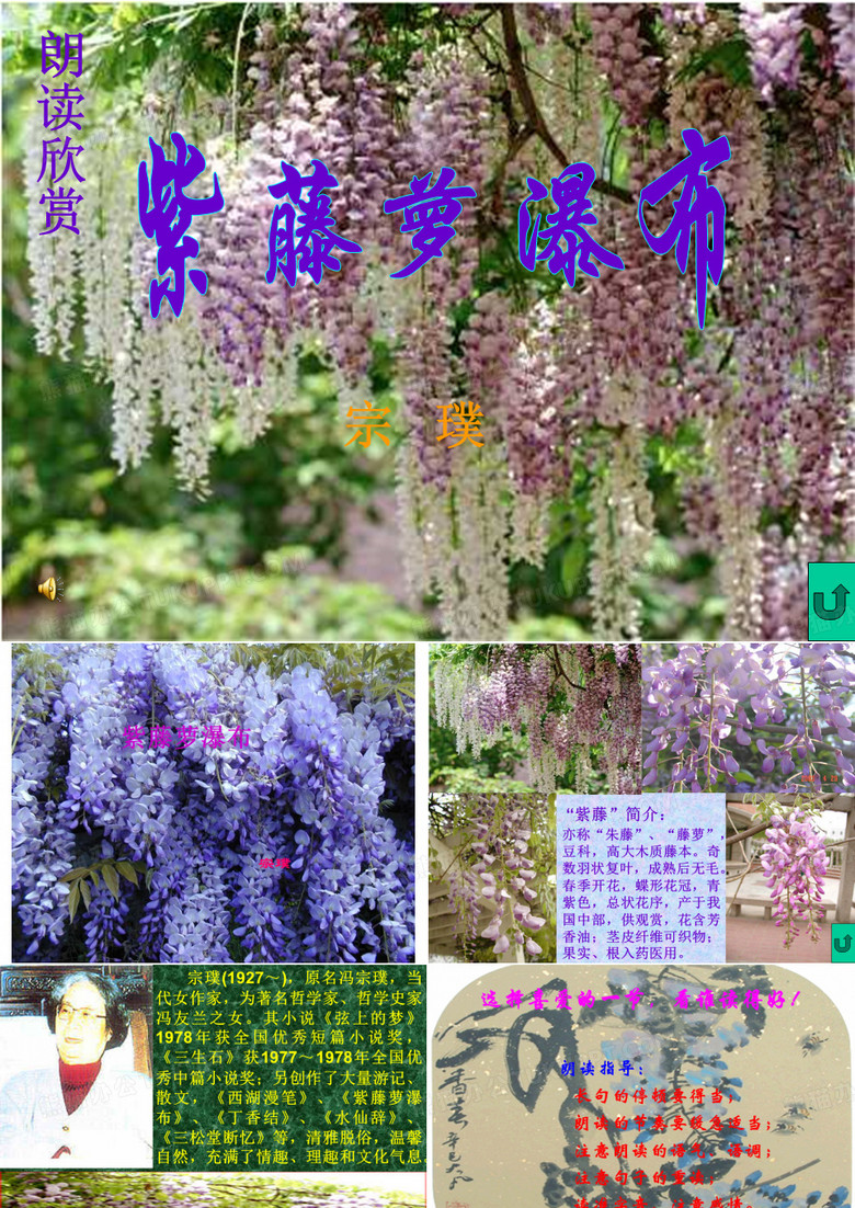 紫藤萝瀑布PPT模板下载 编号qexnvrpb 熊猫办公