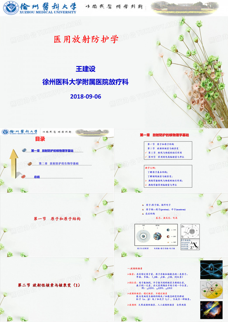 放射防护PPT模板下载 编号ljmwmnrm 熊猫办公