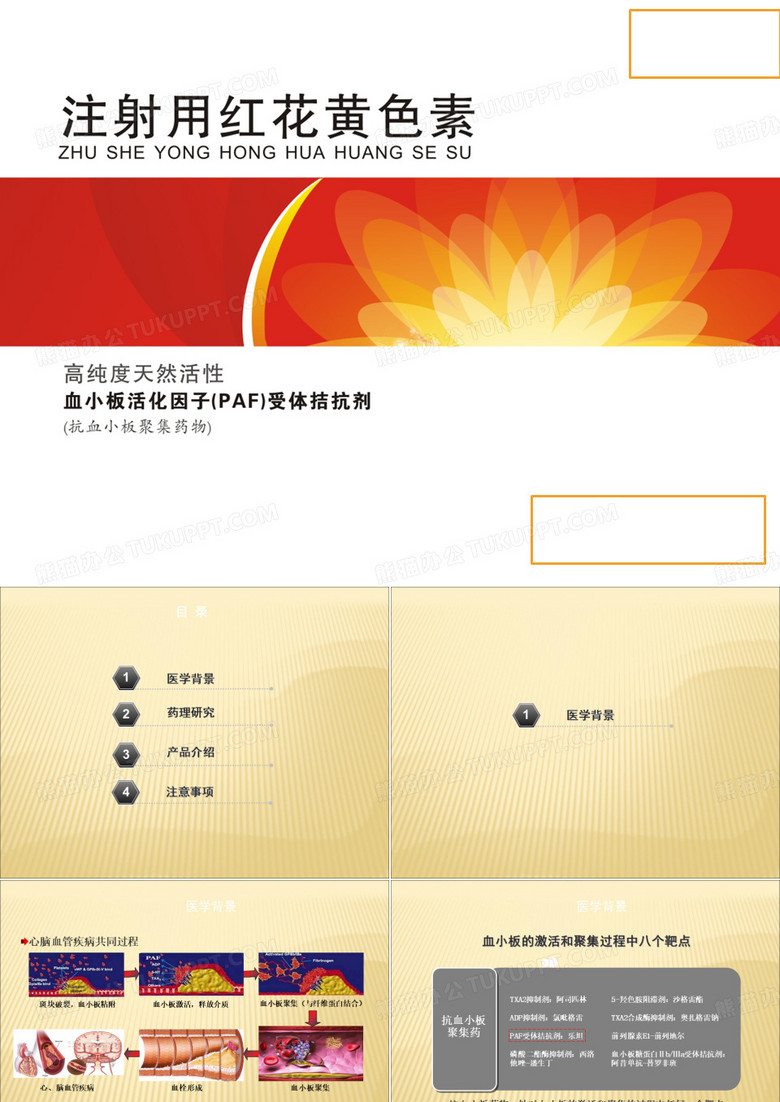 注射用红花黄色素PPT模板下载 编号lnrxwjzx 熊猫办公