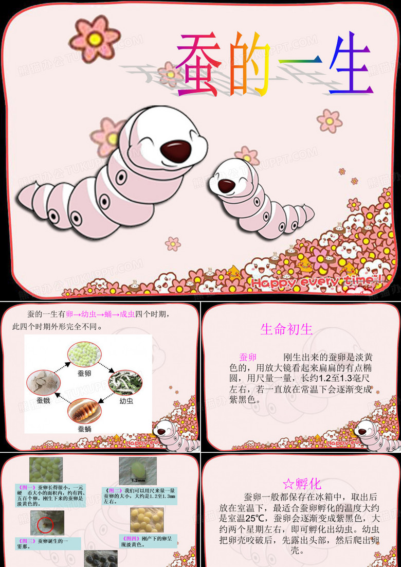 蚕的一生PPT模板下载 编号lrmwonwj 熊猫办公