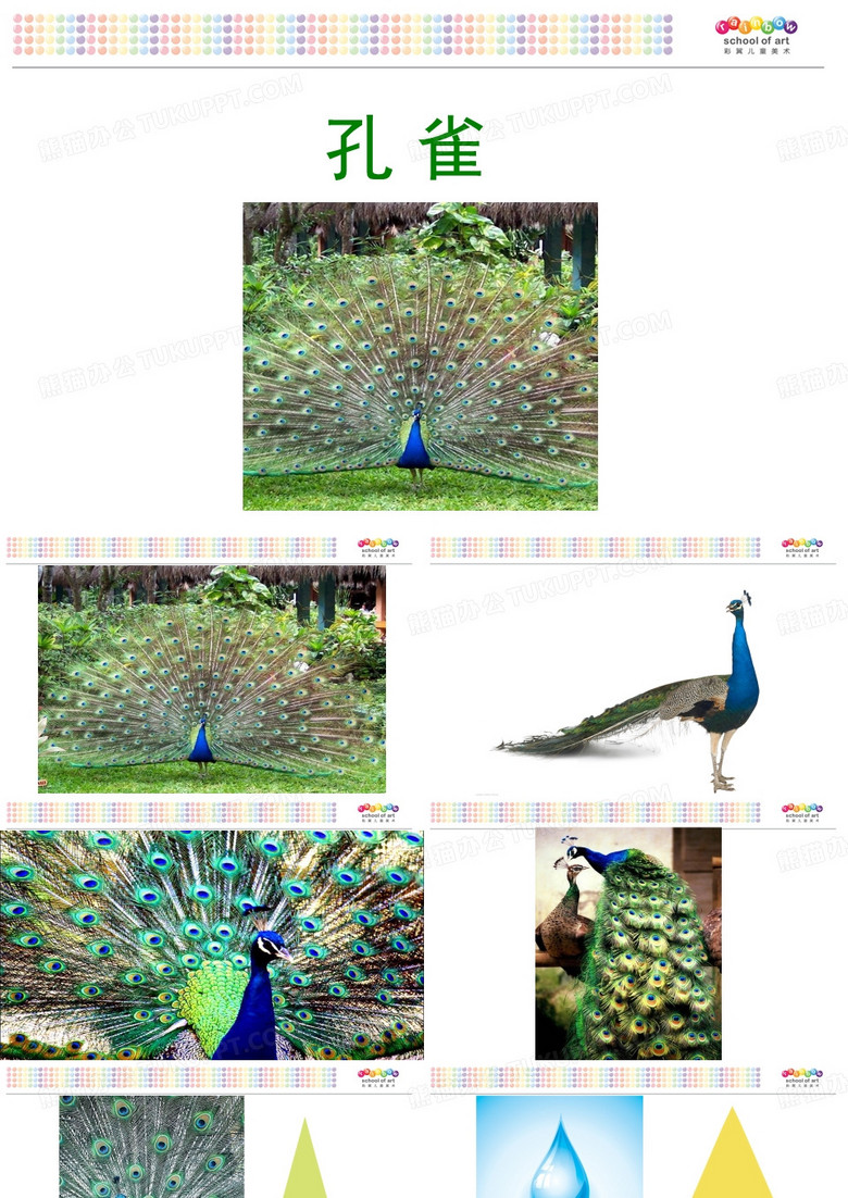 孔雀PPT模板下载 编号qrmwonaj 熊猫办公