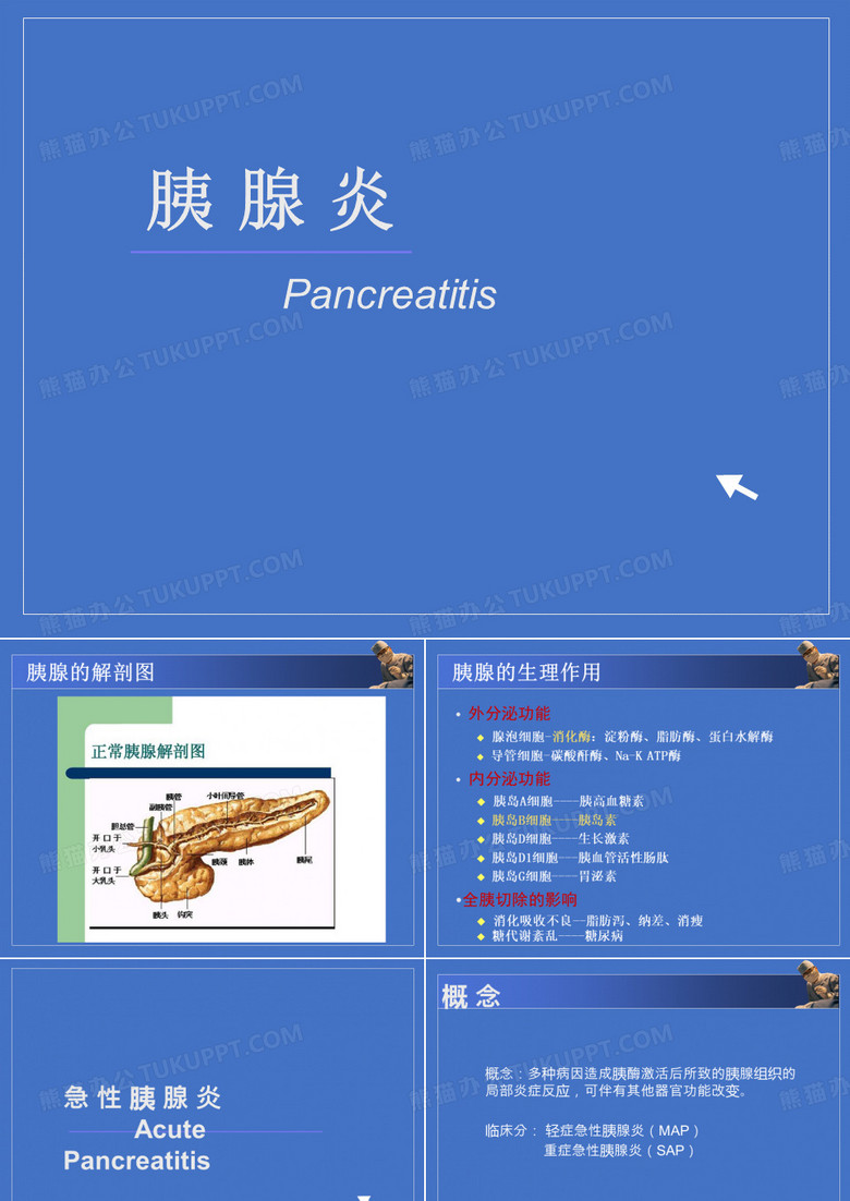 急性胰腺炎PPT模板下载 编号qrmbwbkg 熊猫办公