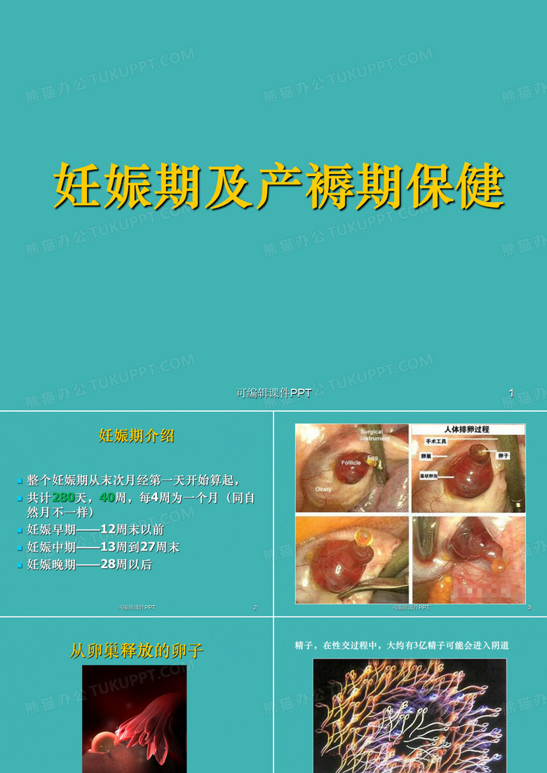 孕妇孕产期护理与保健课件PPT模板下载 编号lexedzzn 熊猫办公