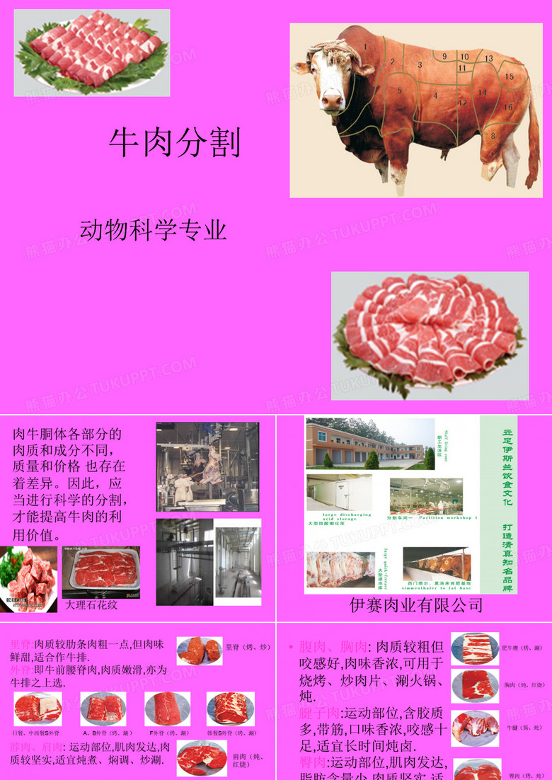 牛肉分割PPT模板下载 编号ldppvoyv 熊猫办公