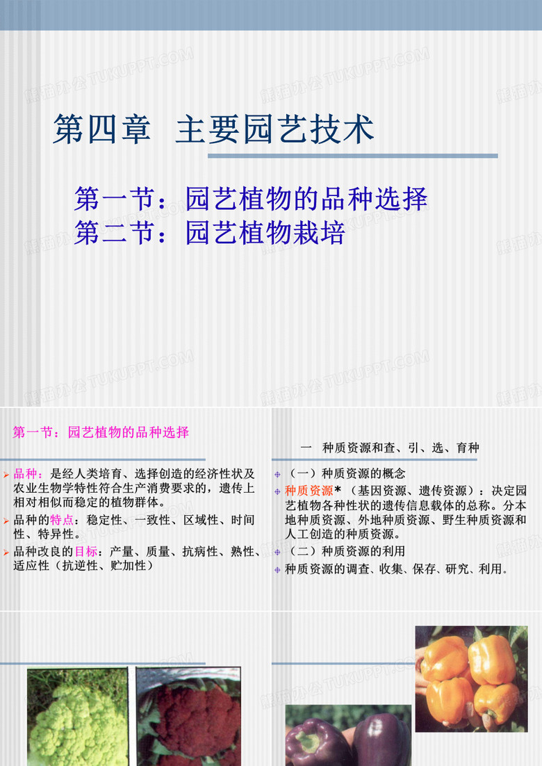 园艺通论主要园艺技术PPT模板下载 编号qyxayvxx 熊猫办公