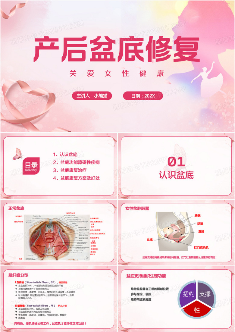 母婴系列产后盆底康复培训课件PPT模板下载 熊猫办公