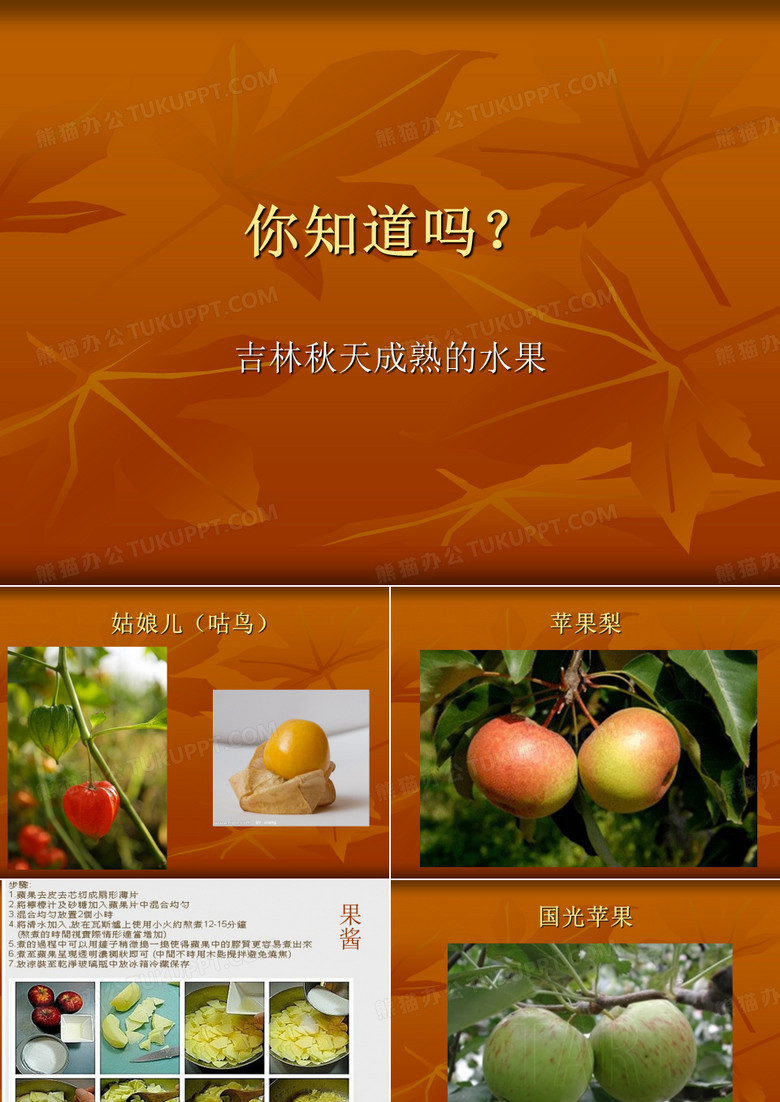 秋天成熟的水果PPT模板下载 编号qmavenpx 熊猫办公
