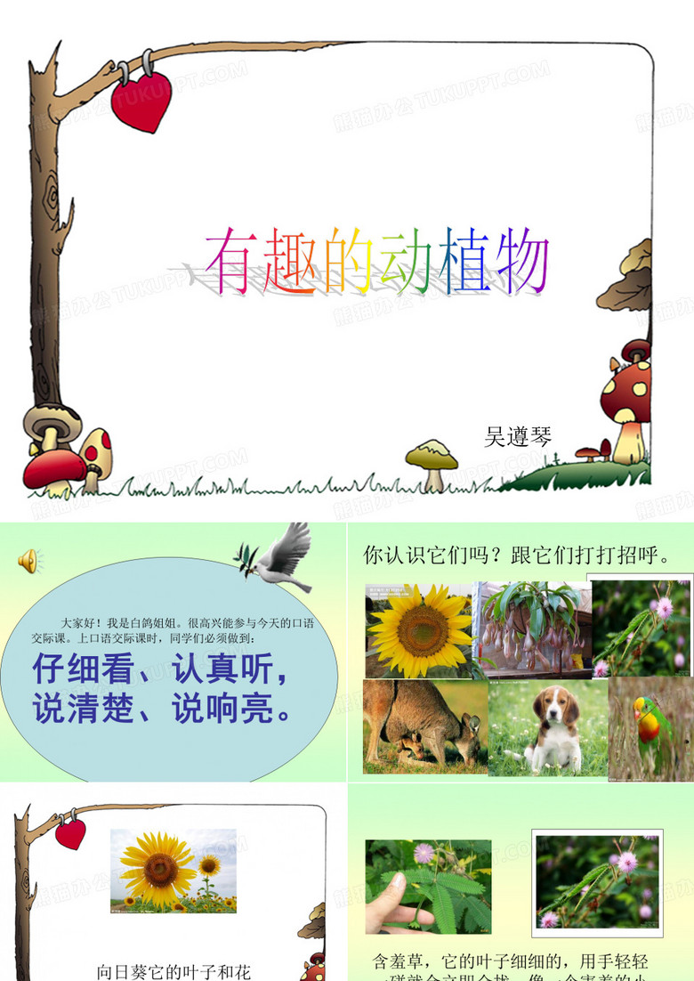 有趣的动植物PPT模板下载 编号lvjmovwb 熊猫办公