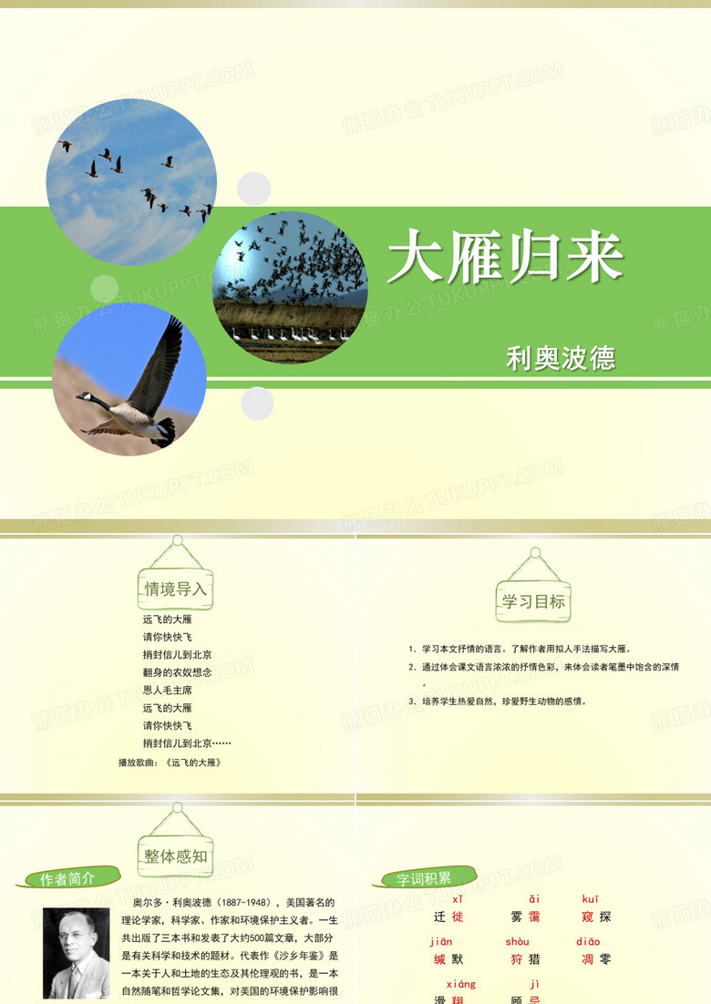 大雁归来PPT模板下载 编号lkwjvjze 熊猫办公