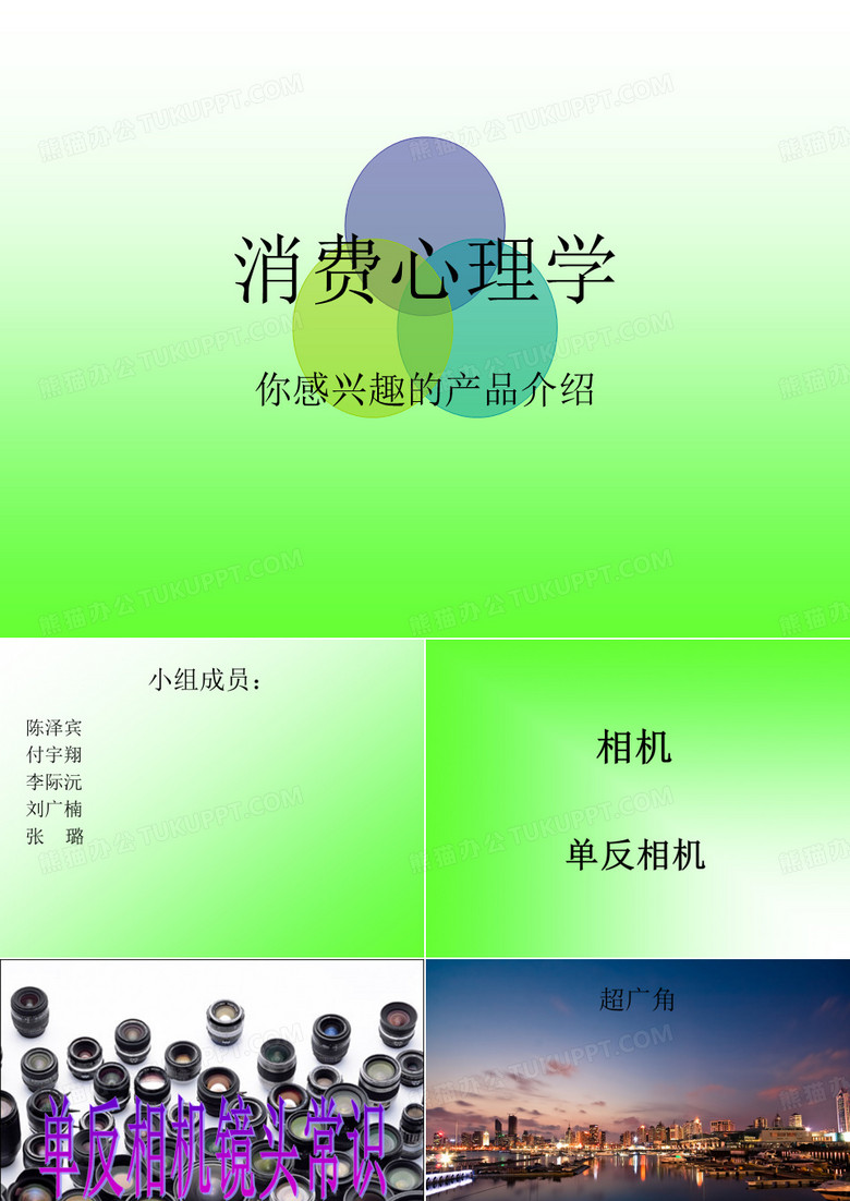 消费心理学PPT模板下载 编号ldprkoyr 熊猫办公