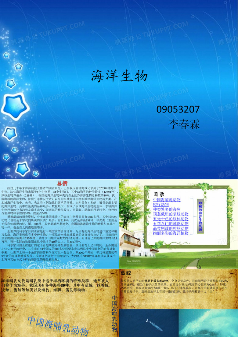 Ppt Lpgzdpyx