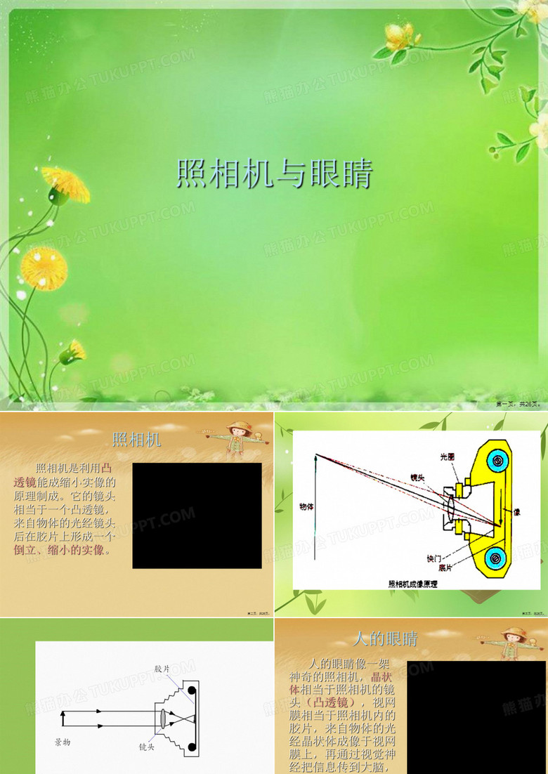 照相机与眼睛PPT模板下载 编号qpgmzzog 熊猫办公