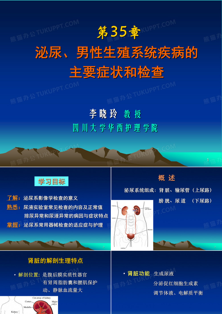 泌尿系统PPT模板下载 编号lxzpgyyk 熊猫办公