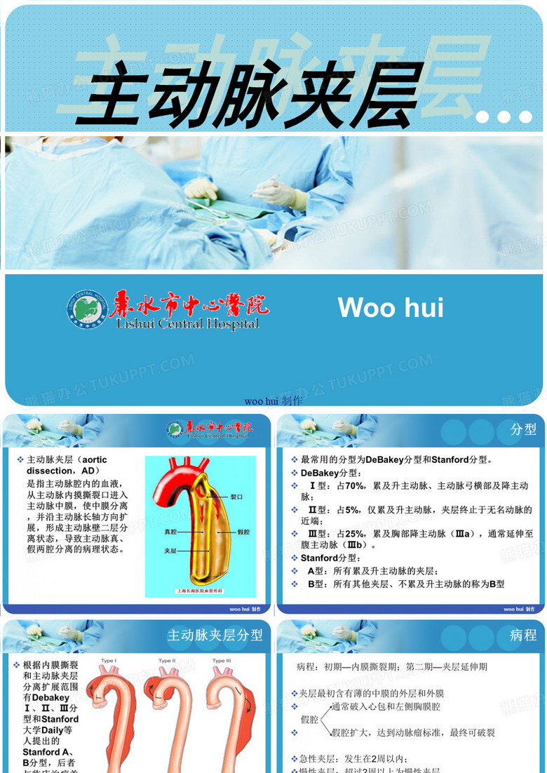 主动脉夹层PPT模板下载 编号qbkayekv 熊猫办公