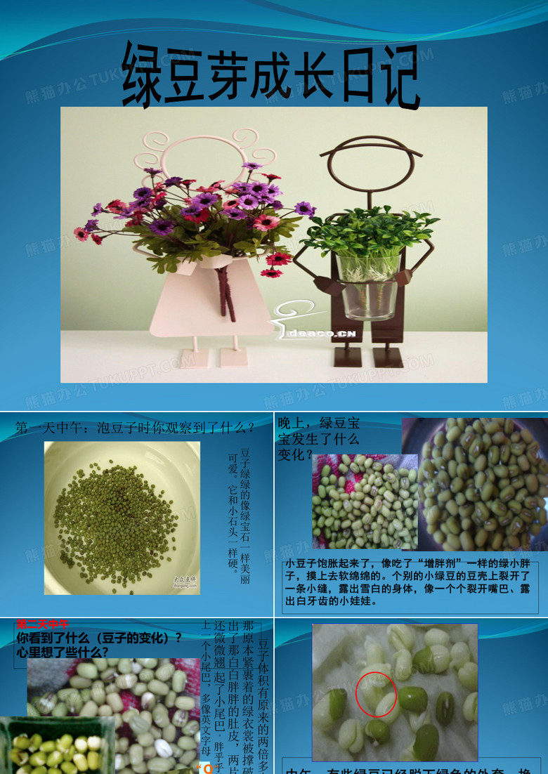 绿豆芽观察日记PPT模板下载 编号legnymng 熊猫办公