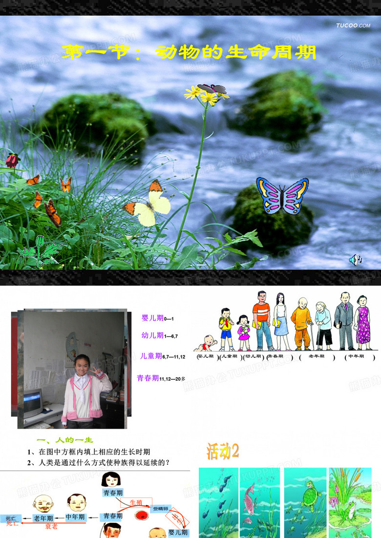 动物的生命周期PPT模板下载 编号lmnkznrv 熊猫办公