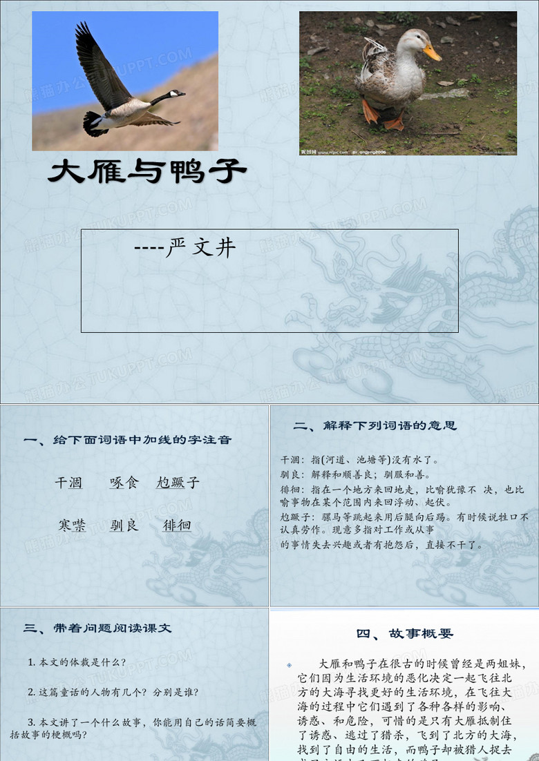 大雁与鸭子PPT模板下载 编号lmnggrrg 熊猫办公