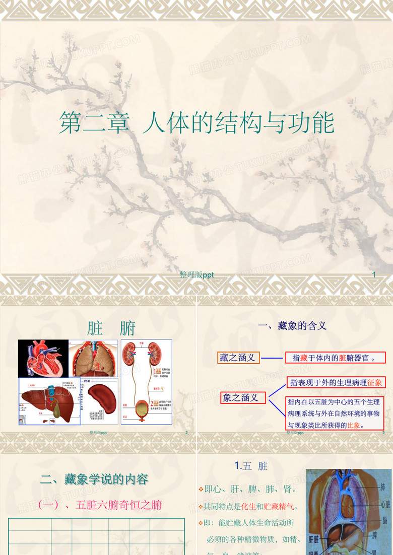 人体的结构与功能PPT模板下载 编号lwnkpbjm 熊猫办公