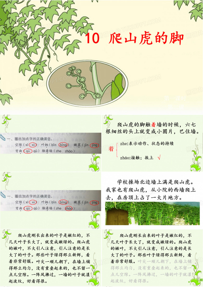 爬山虎的脚PPT模板下载 编号lmmyndzk 熊猫办公