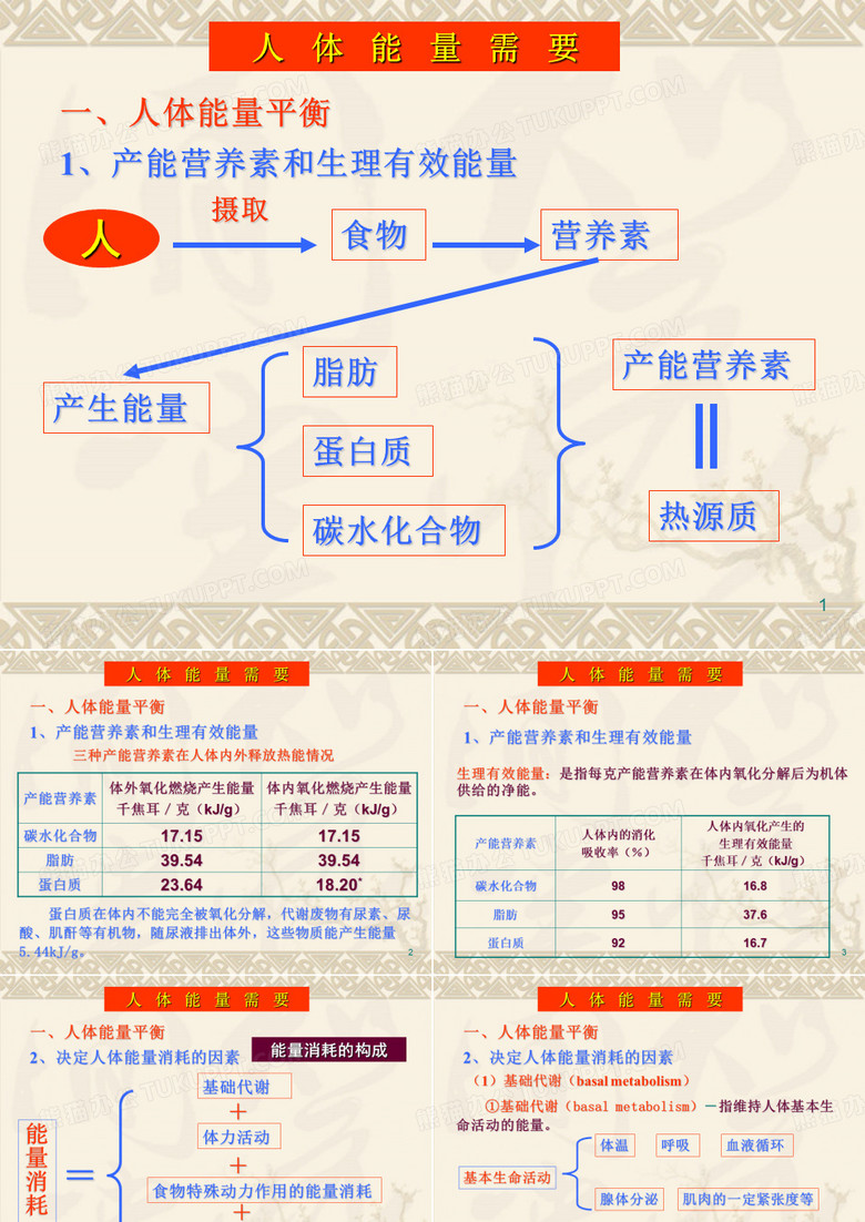 食品营养学第三章 基础营养学PPT模板下载 编号lwnkjkad 熊猫办公