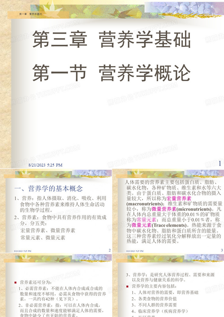 营养学讲义第三章营养学基础PPT模板下载 编号qxwdmdrz 熊猫办公