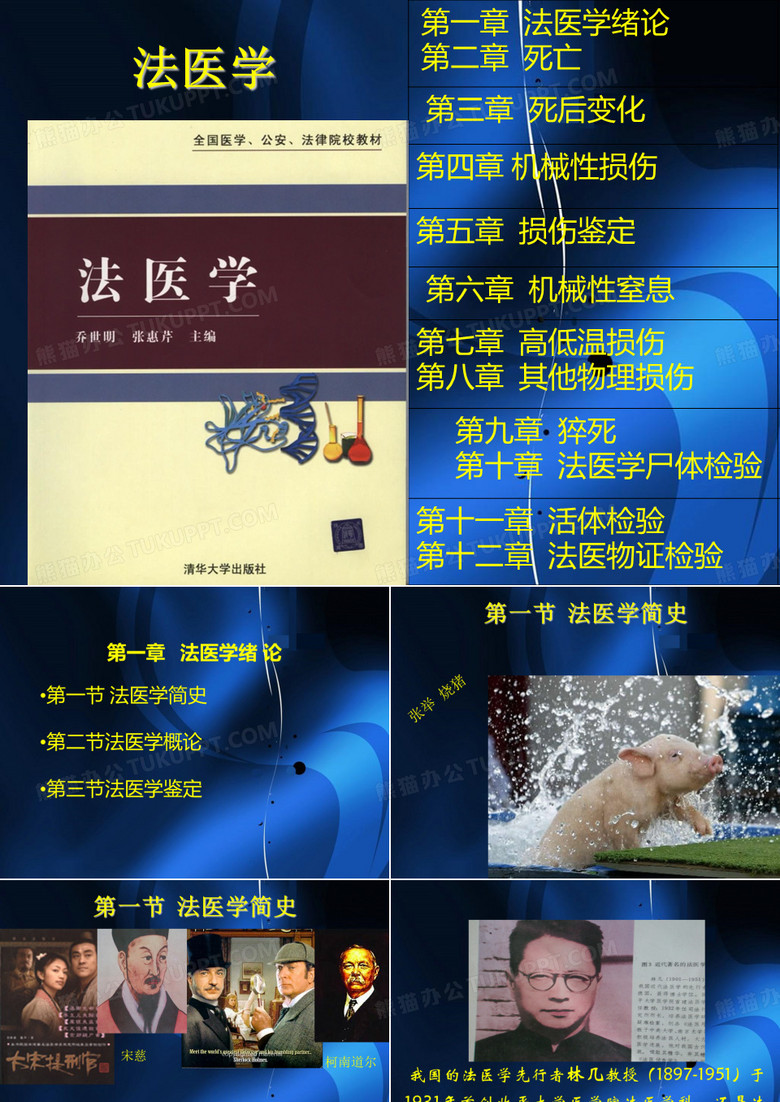法医学课件1 概述法医学PPT模板下载 编号ljbbgmdp 熊猫办公